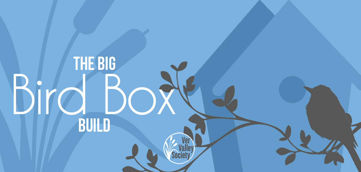 The Big Bird Box Build – Ver Valley Society