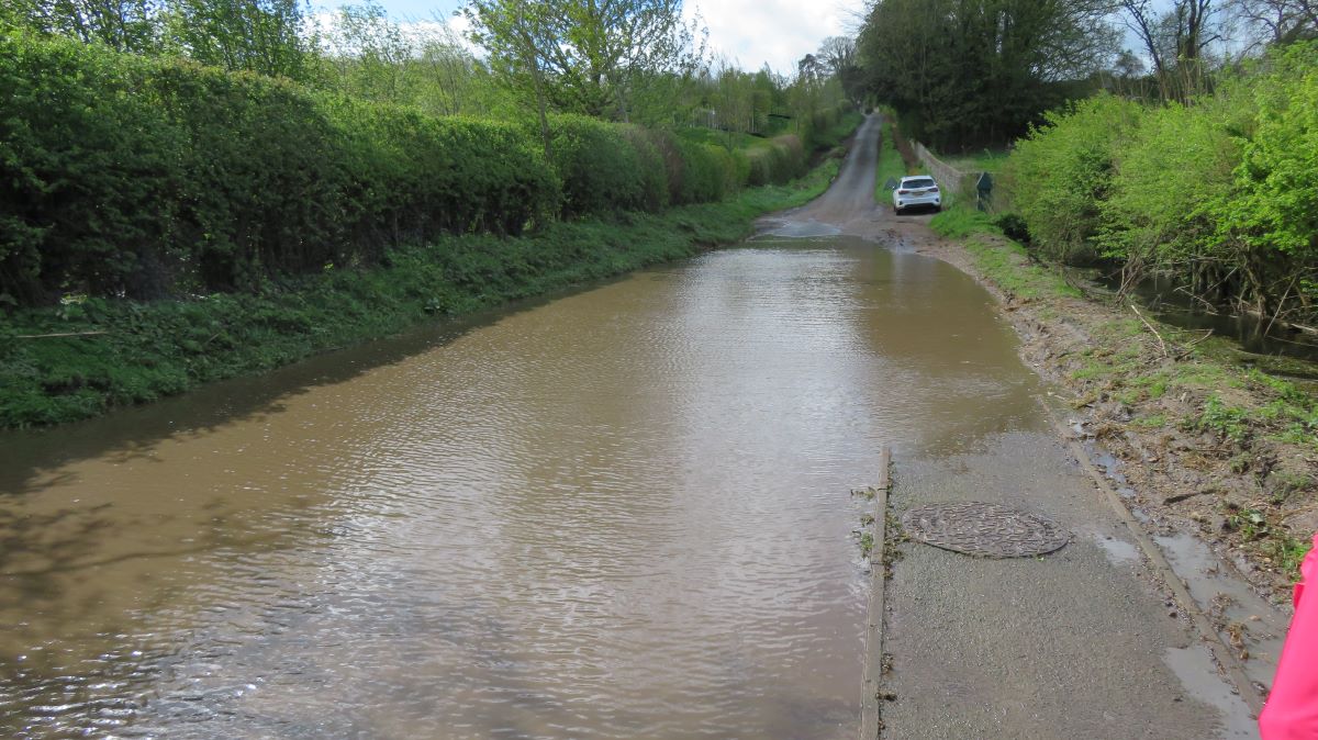 E. coli levels in the River Ver six times bathing standard – Ver Valley ...
